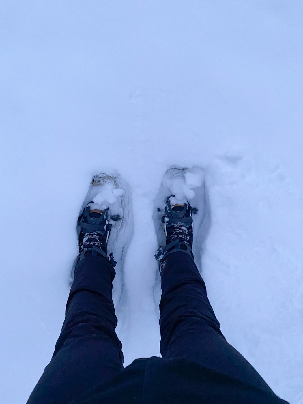Excursion en raquettes à neige à Rovaniemi